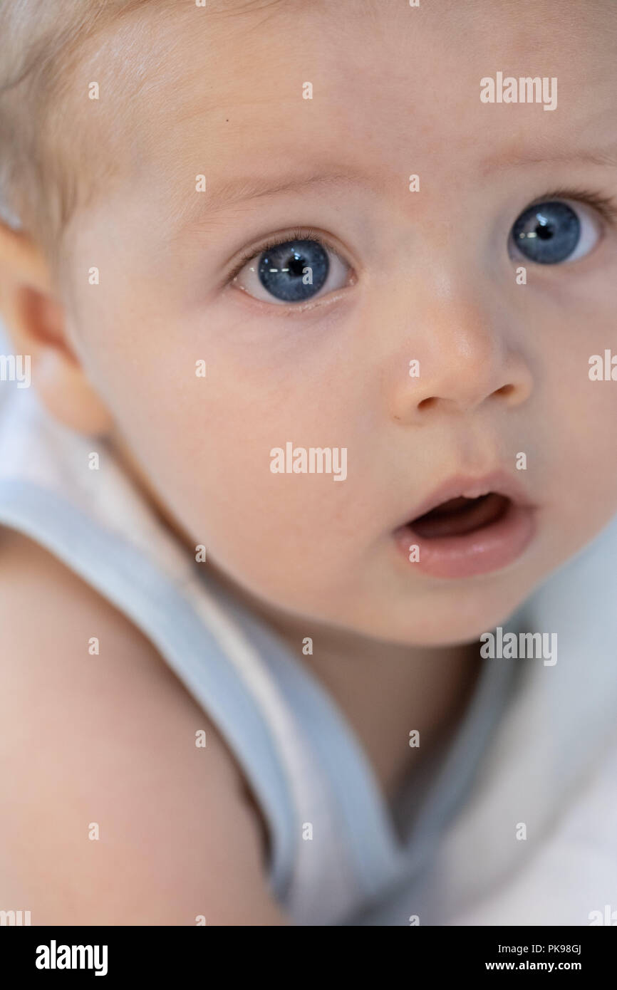Little baby with large trusting blue eyes in a close up cropped ...