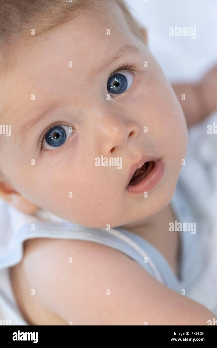 Curious serene little baby staring at the camera with large round blue ...