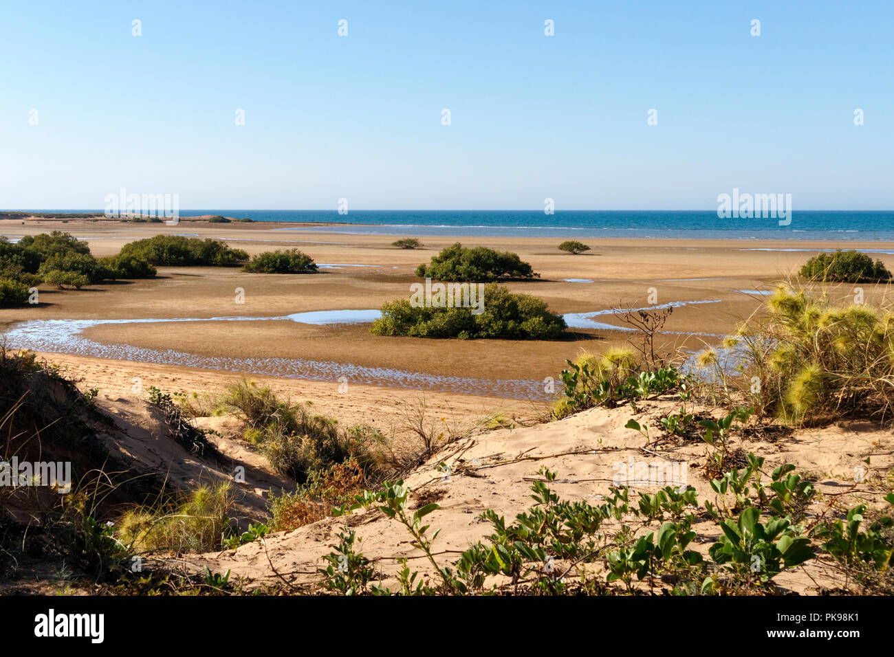 Coastal mangroves australia hi-res stock photography and images - Alamy