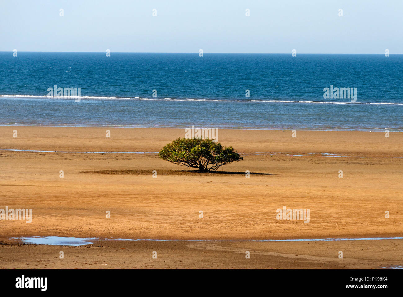 Mangrove landscape hi-res stock photography and images - Alamy