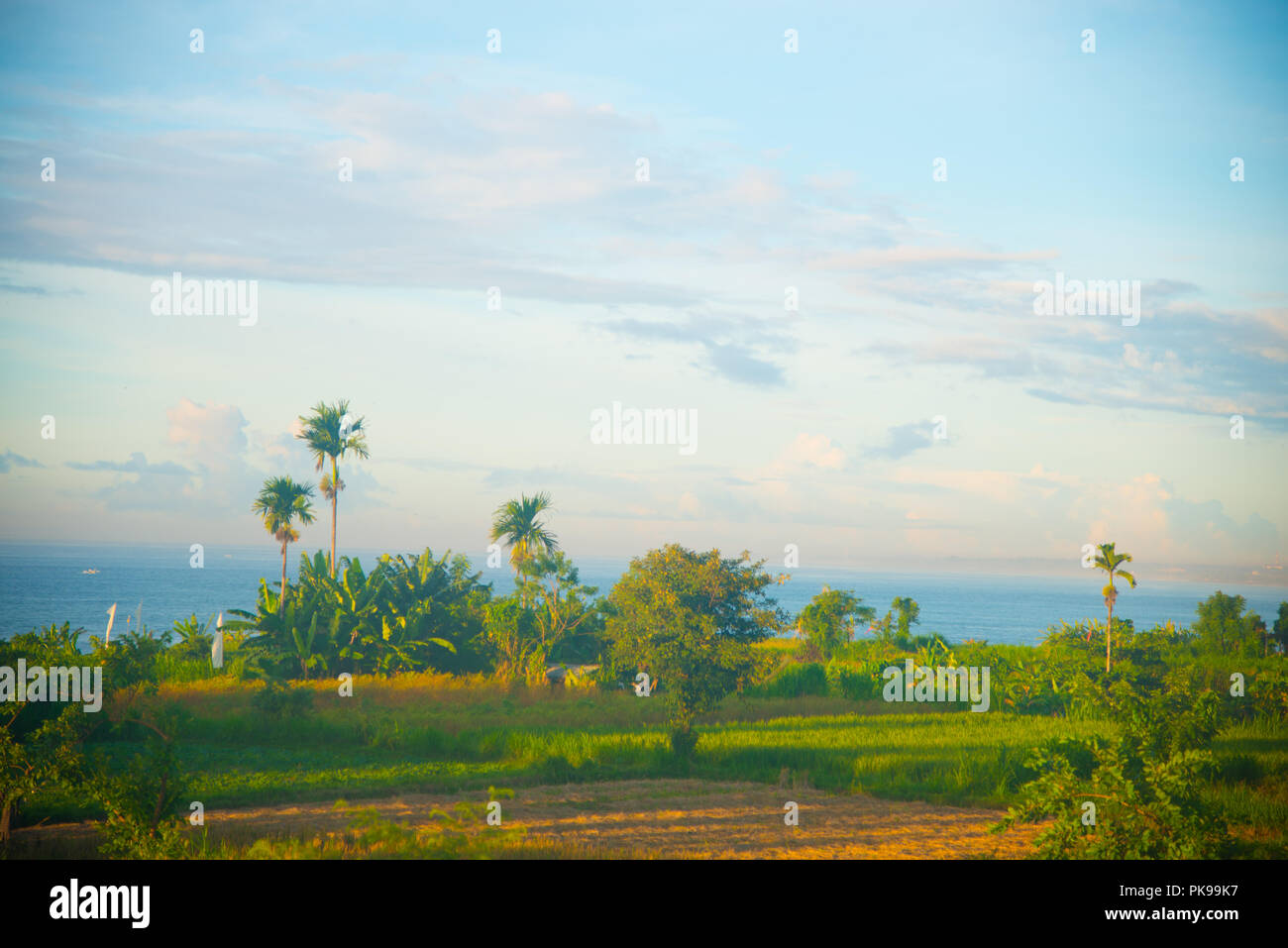 Landscape of the Bali island, Indonesia. Bali is an Indonesian island ...