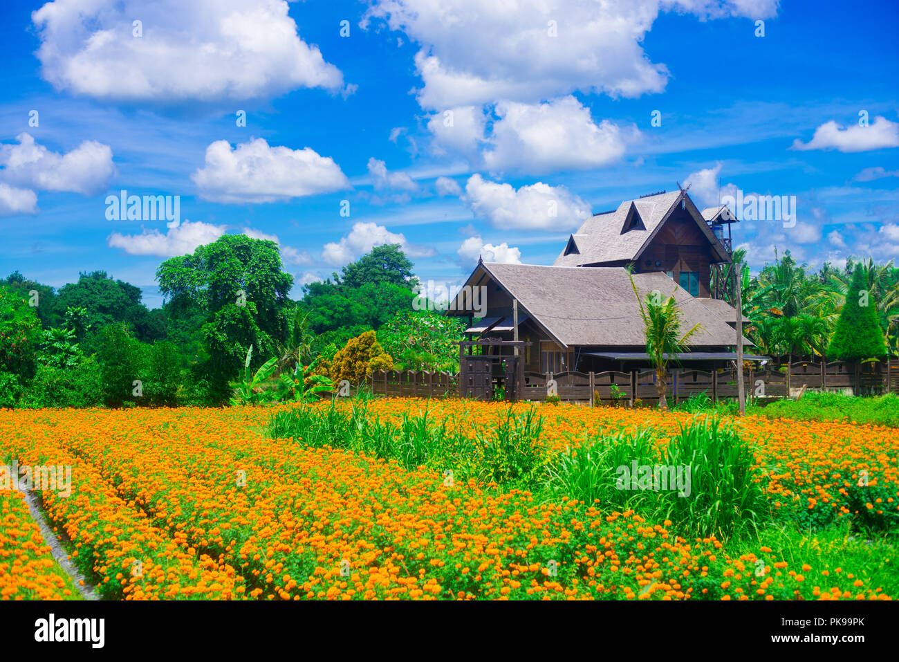 Landscape of the Bali island, Indonesia. Bali is an Indonesian island ...