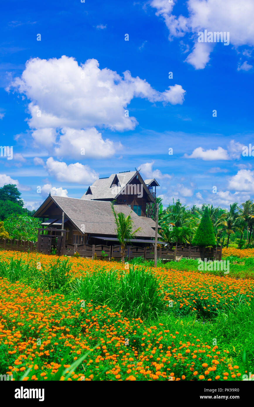 Landscape of the Bali island, Indonesia. Bali is an Indonesian island ...