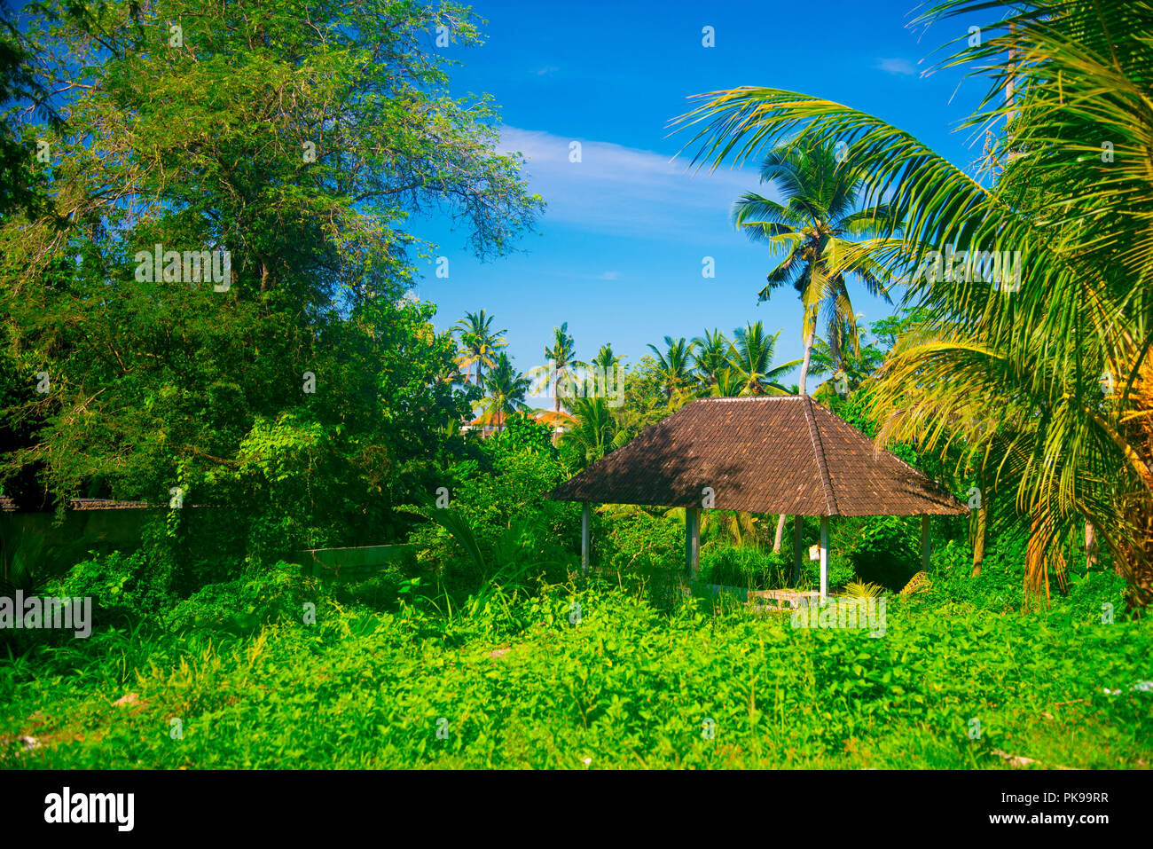 Landscape of the Bali island, Indonesia. Bali is an Indonesian island ...