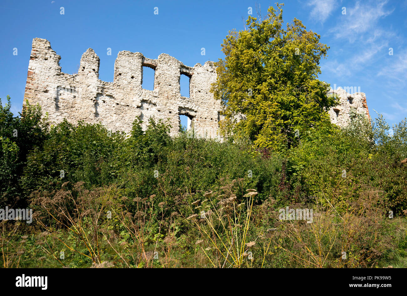 Tenczyn Castle - ruins of a medieval castle lying on the Krakowsko ...
