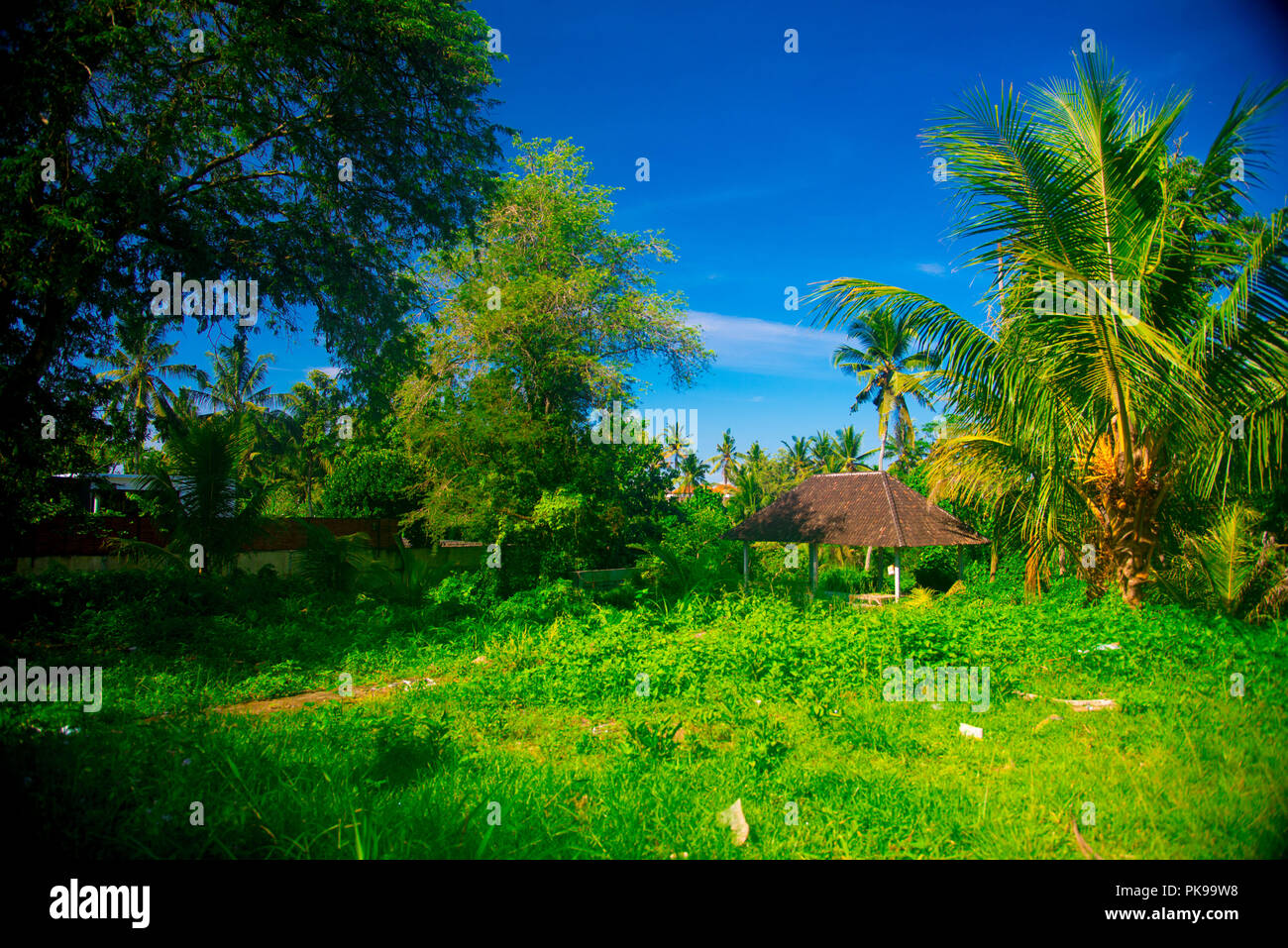 Landscape of the Bali island, Indonesia. Bali is an Indonesian island ...