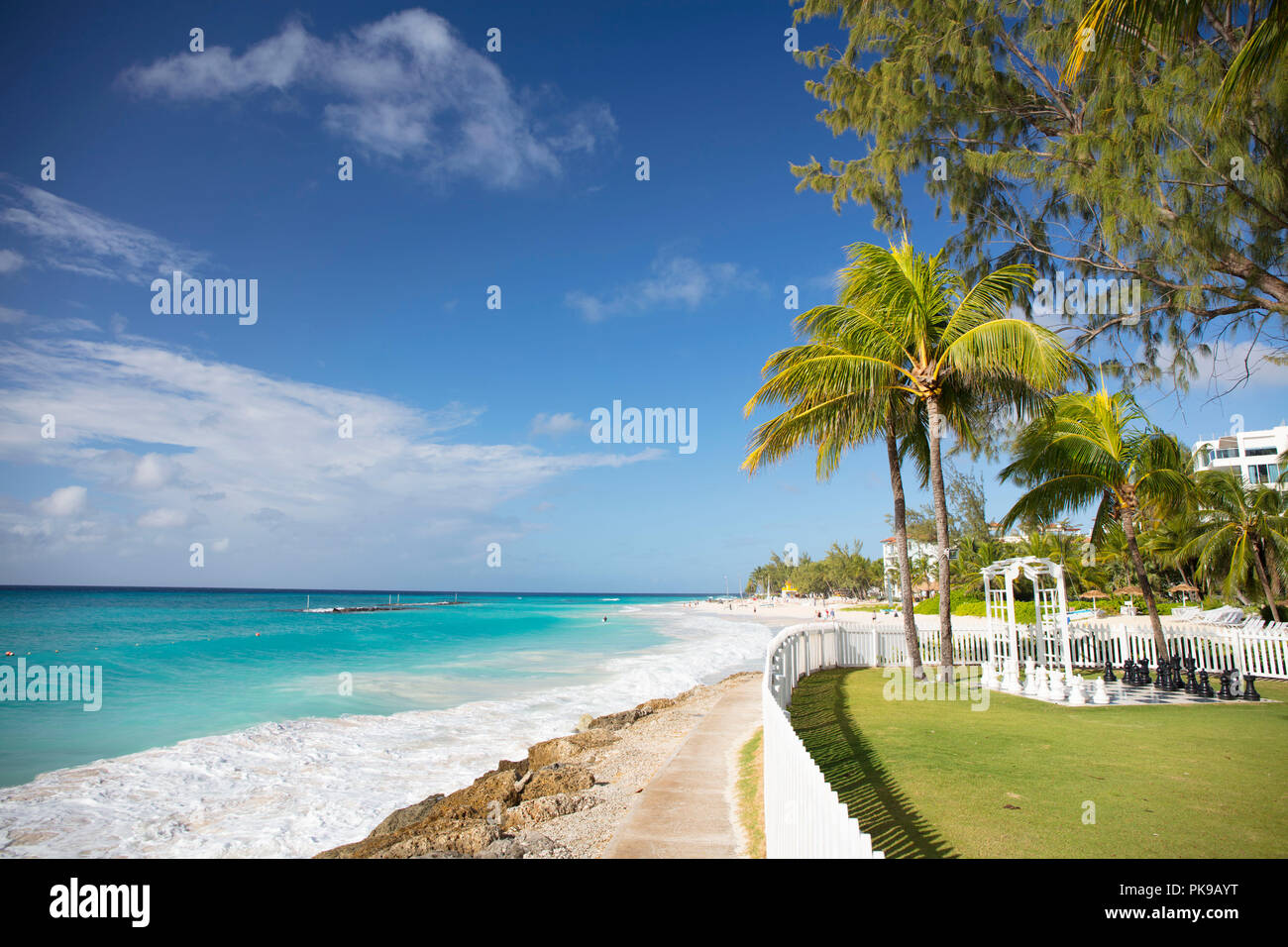 Summer on Barbados Island. Exotic vacations. Palm trees. Turquoise ...