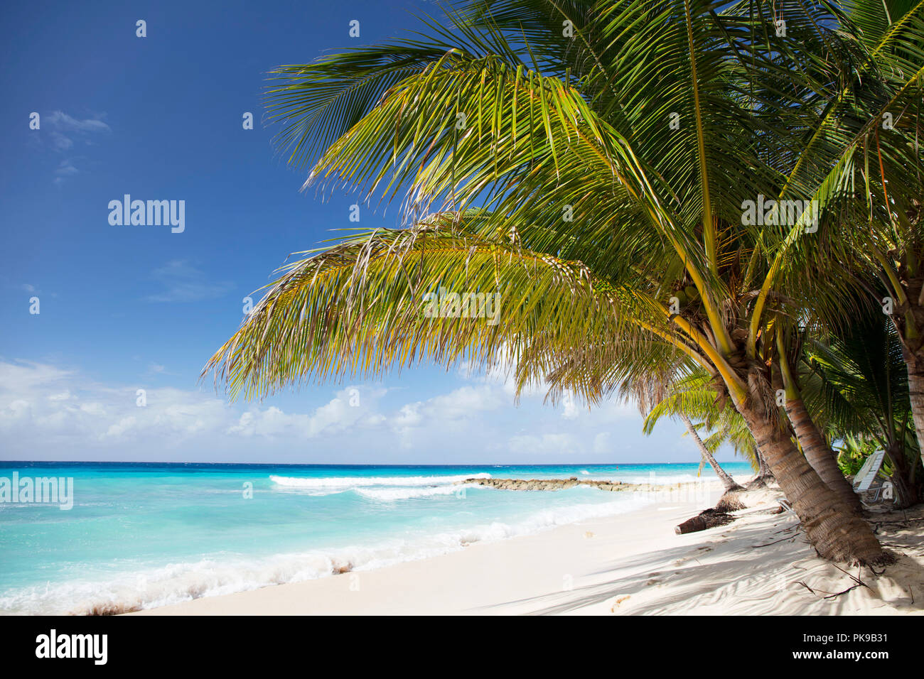 Summer on Barbados Island. Exotic vacations. Palm trees. Turquoise ...
