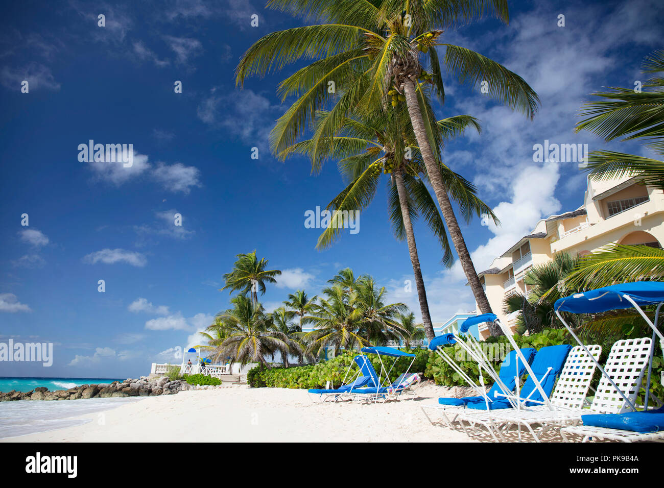 Summer on Barbados Island. Exotic vacations. Palm trees. Turquoise ...