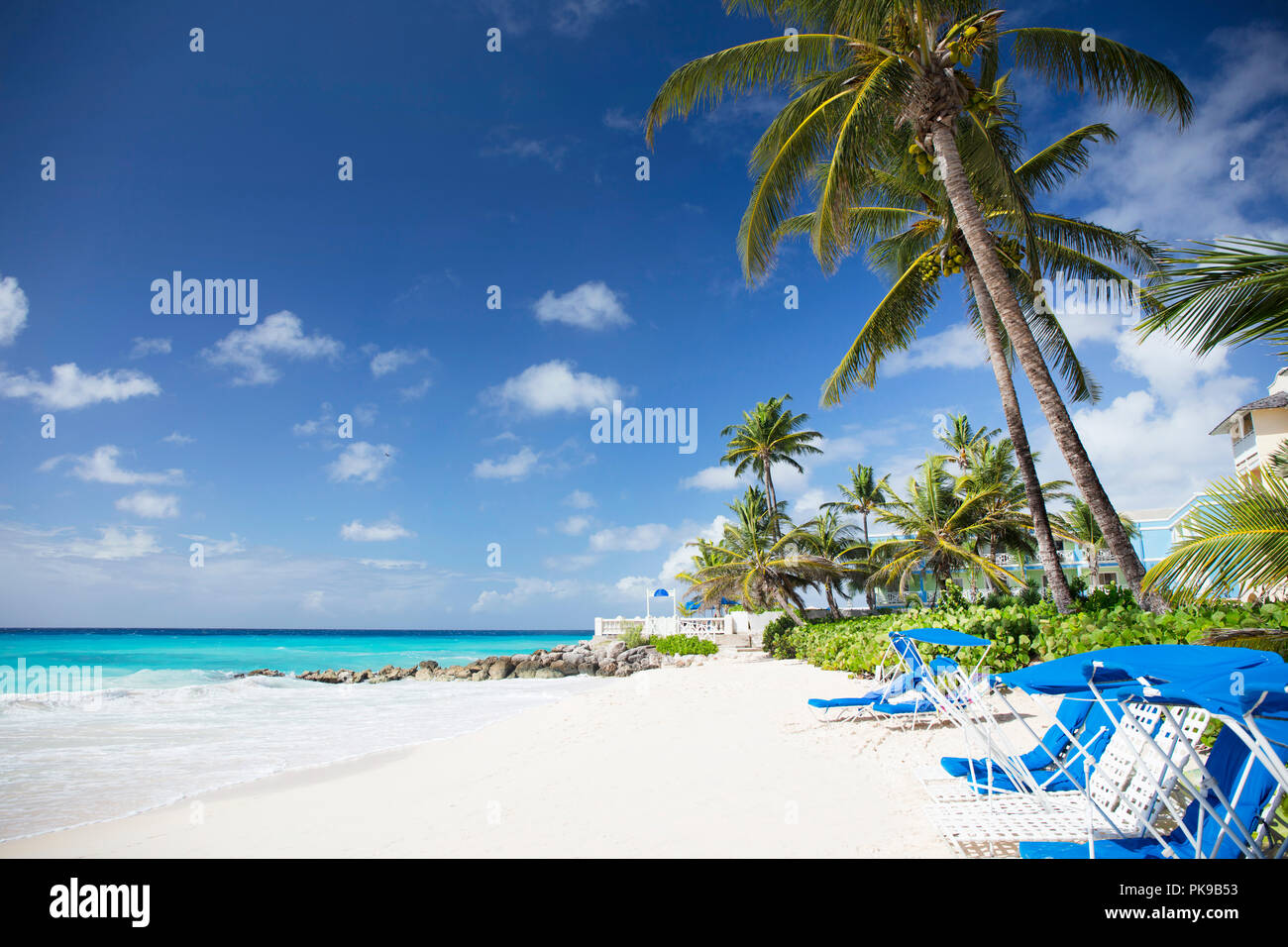 Summer on Barbados Island. Exotic vacations. Palm trees. Turquoise ...