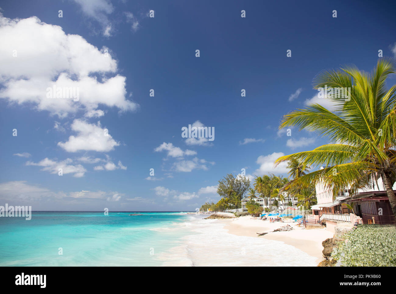 Summer on Barbados Island. Exotic vacations. Palm trees. Turquoise ...