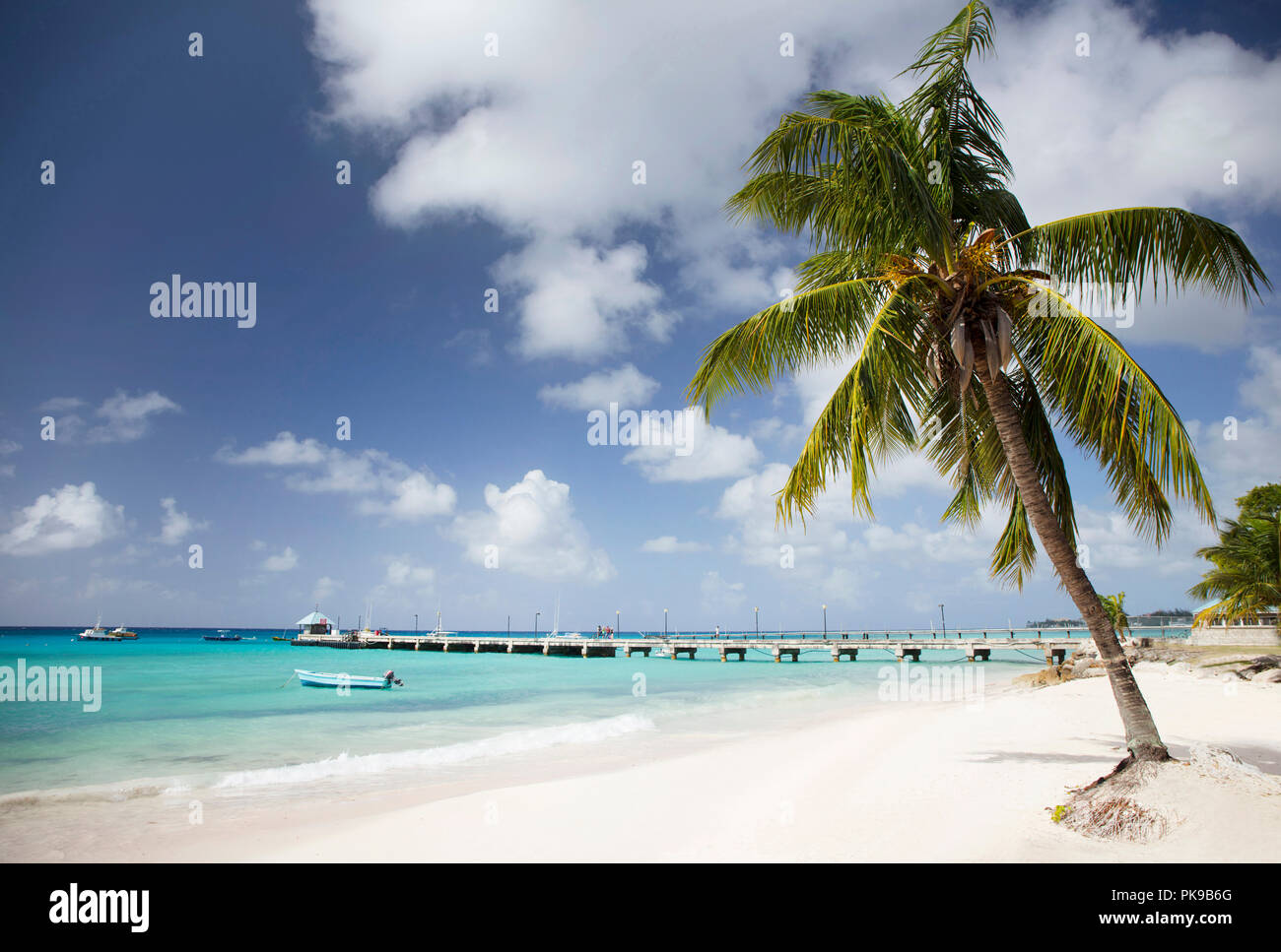 Summer on Barbados Island. Exotic vacations. Palm trees. Turquoise ...