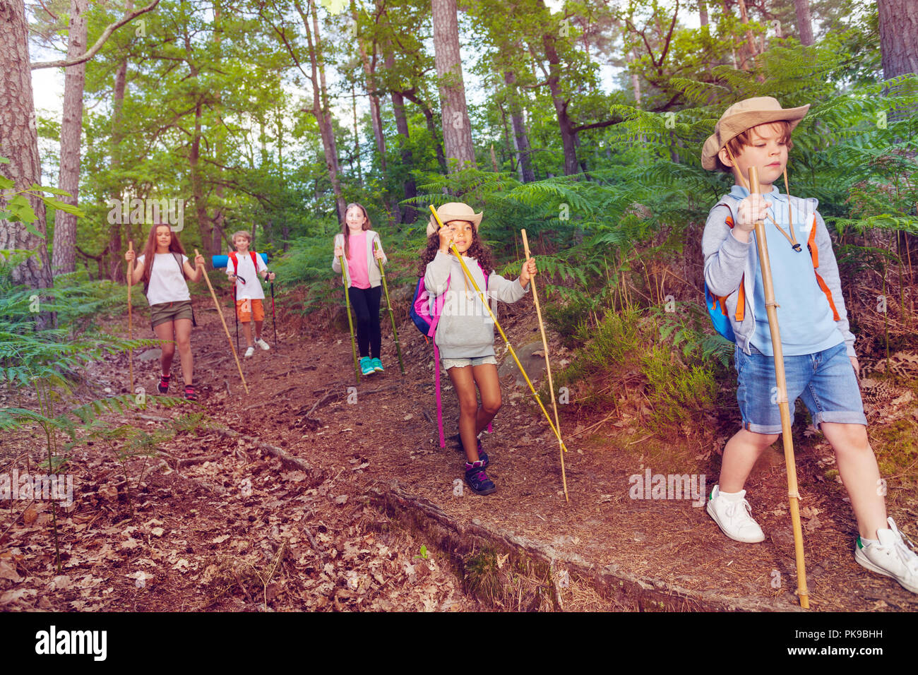 Scout camp trail hi-res stock photography and images - Alamy