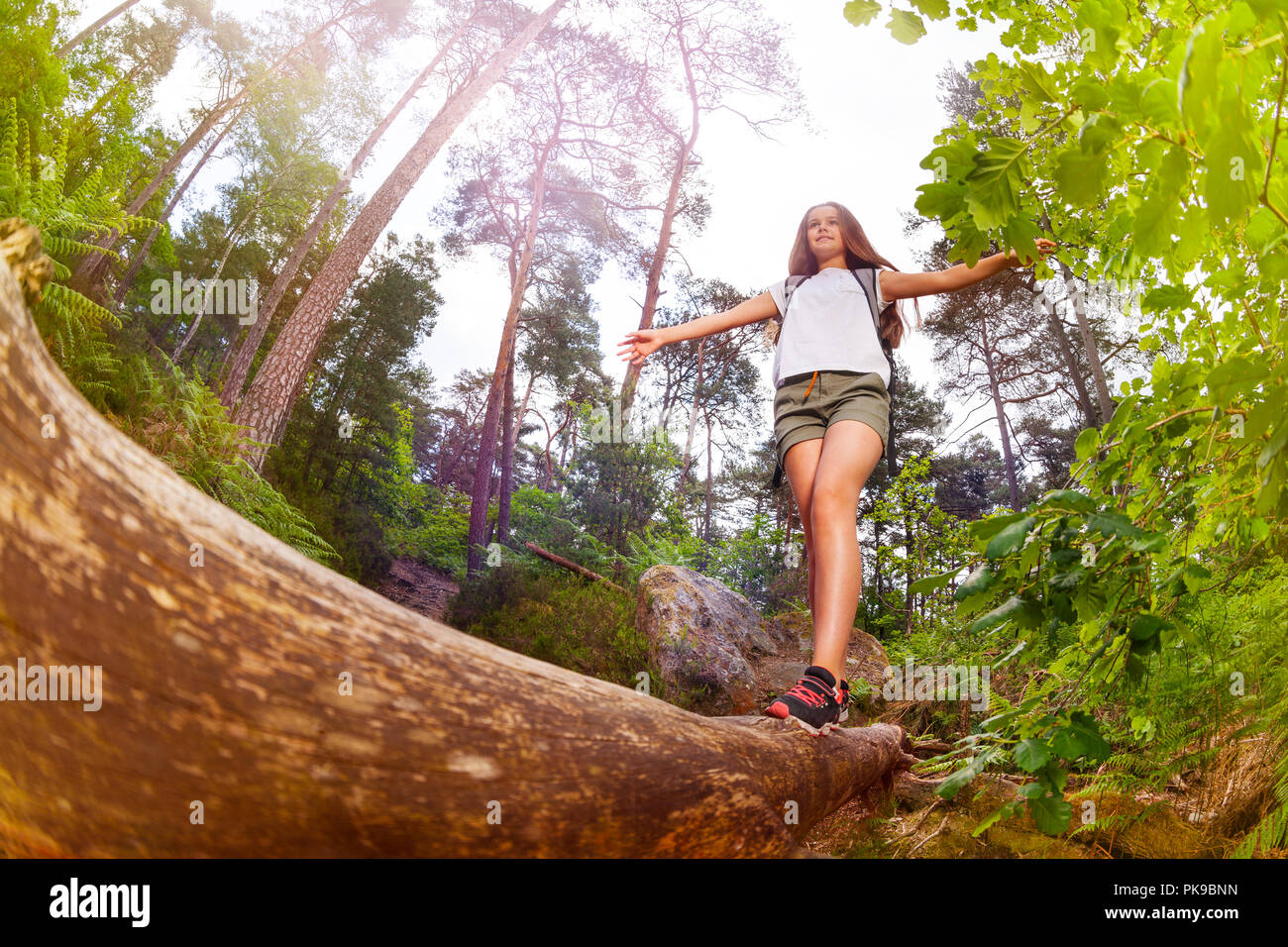 Girl walks over the log balancing with hands Stock Photo - Alamy