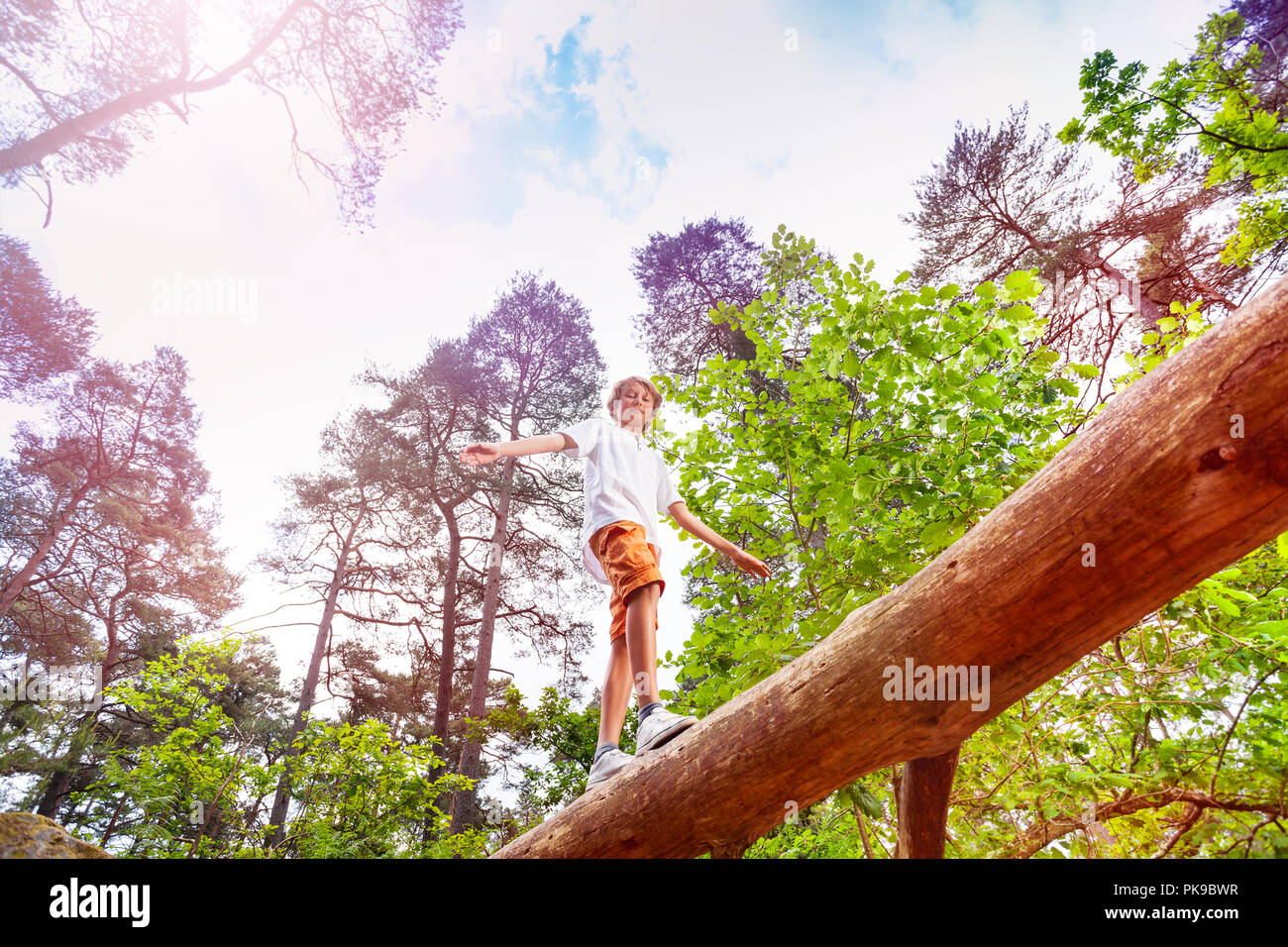 Boy walks over the high log in forest hold balance Stock Photo - Alamy