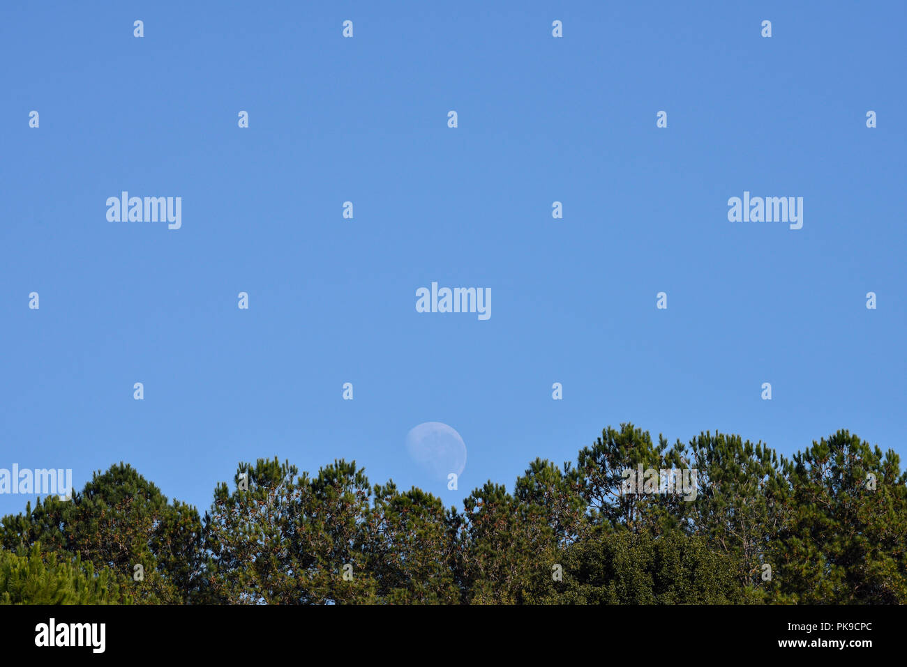 Shire of pine rivers hi-res stock photography and images - Alamy
