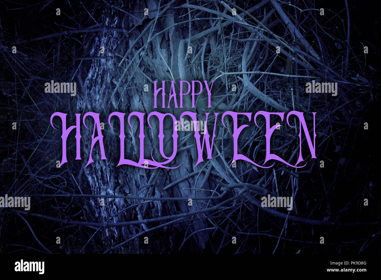 Halloween mysterious background of dark and haunted forest with text ...