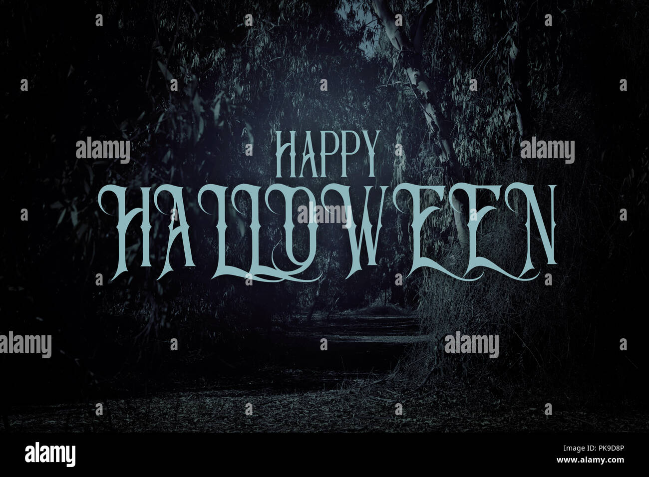Halloween mysterious background of dark and haunted forest with text ...