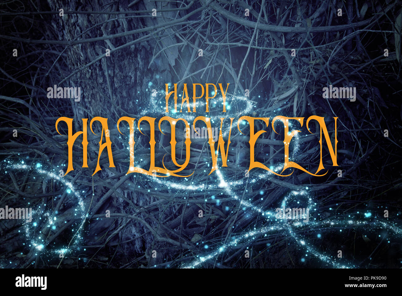 Halloween mysterious background of dark and haunted forest with text ...