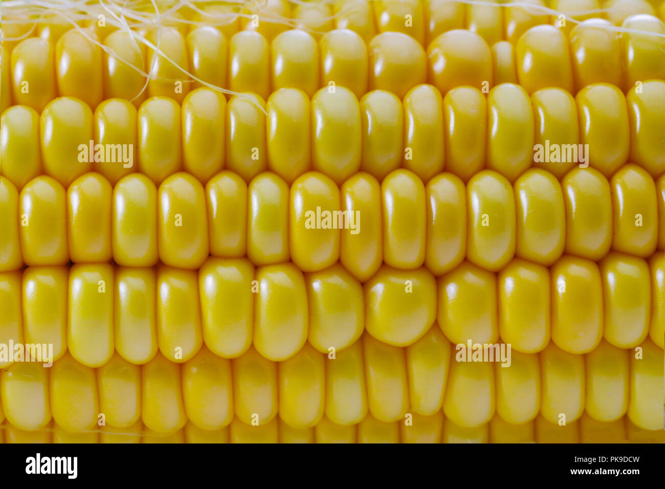 ripe yellow corn as a texture, yellow nature background Stock Photo - Alamy