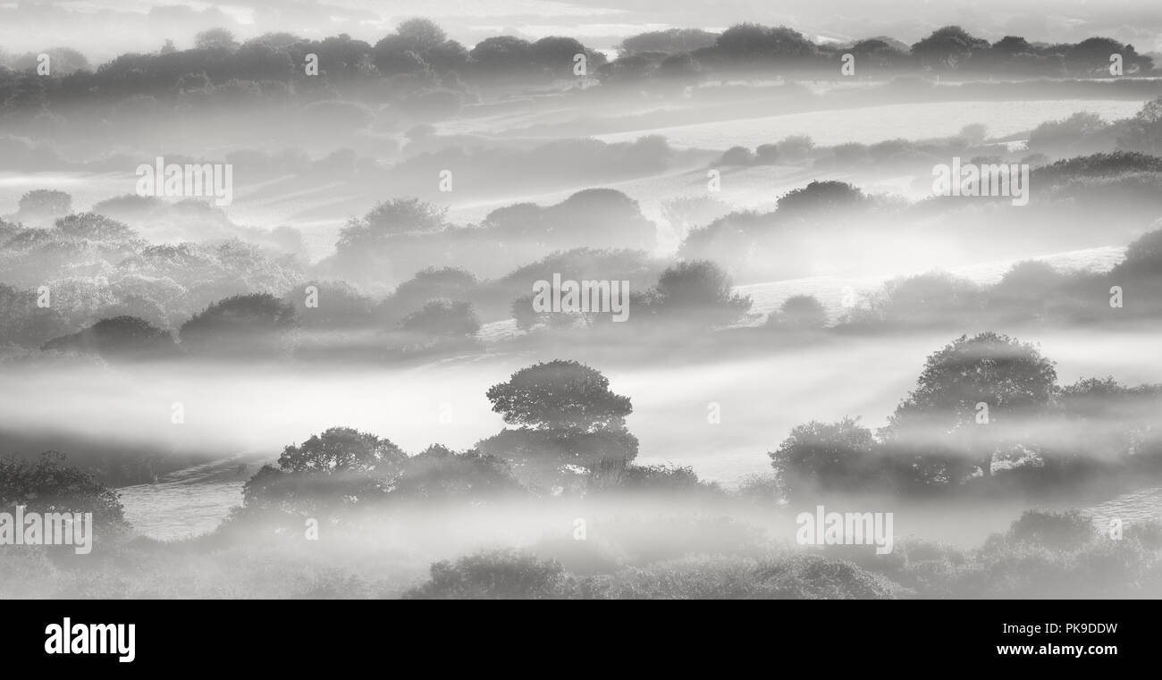 Abstract mist surreal hi-res stock photography and images - Alamy