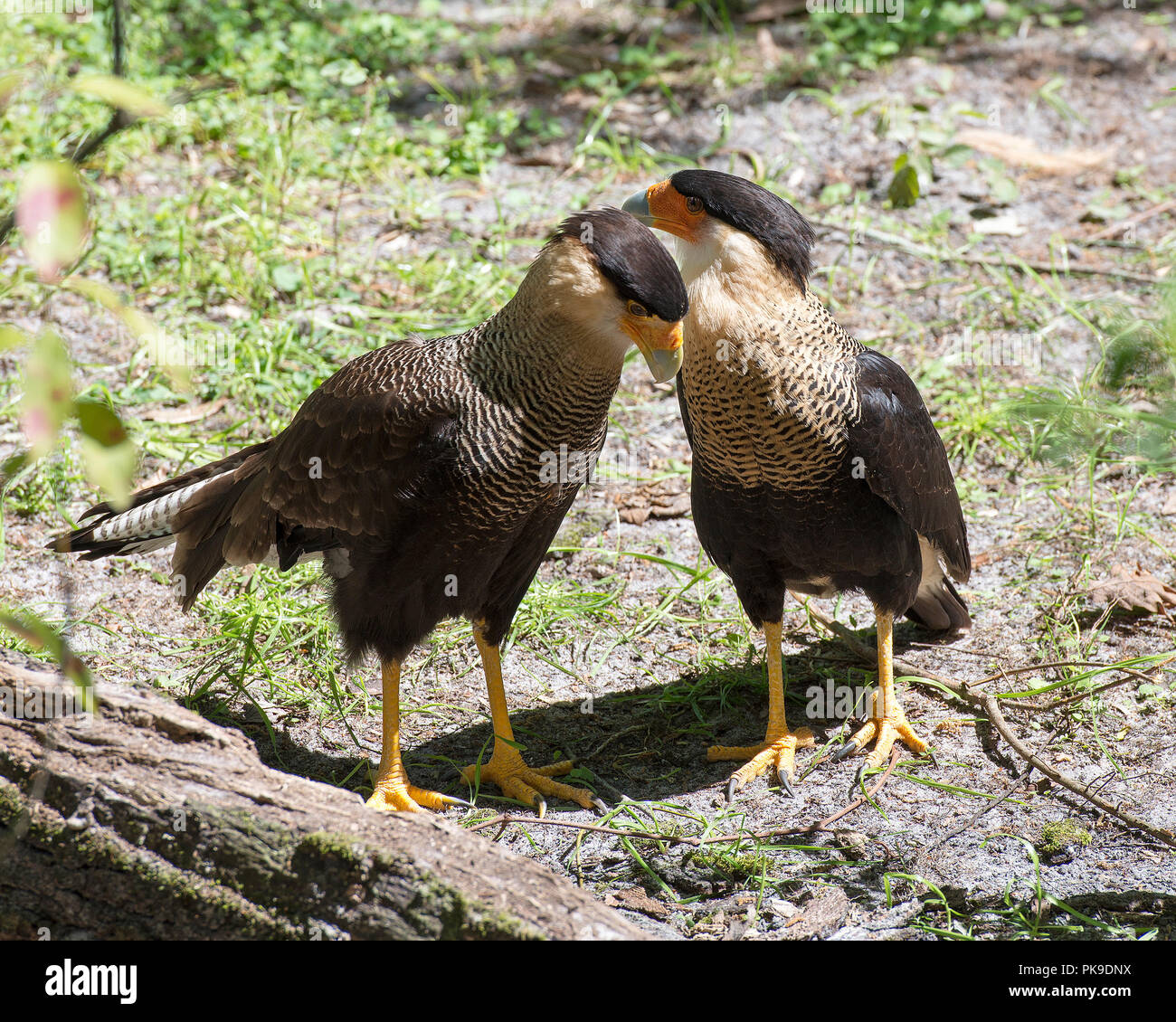 Company profile picture hi-res stock photography and images - Alamy