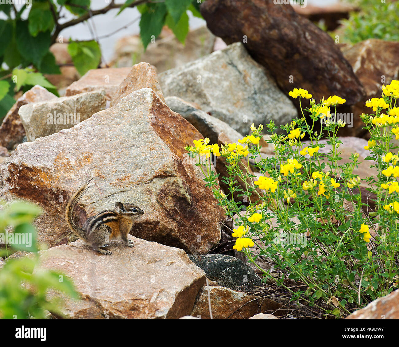 Company profile photos hi-res stock photography and images - Alamy