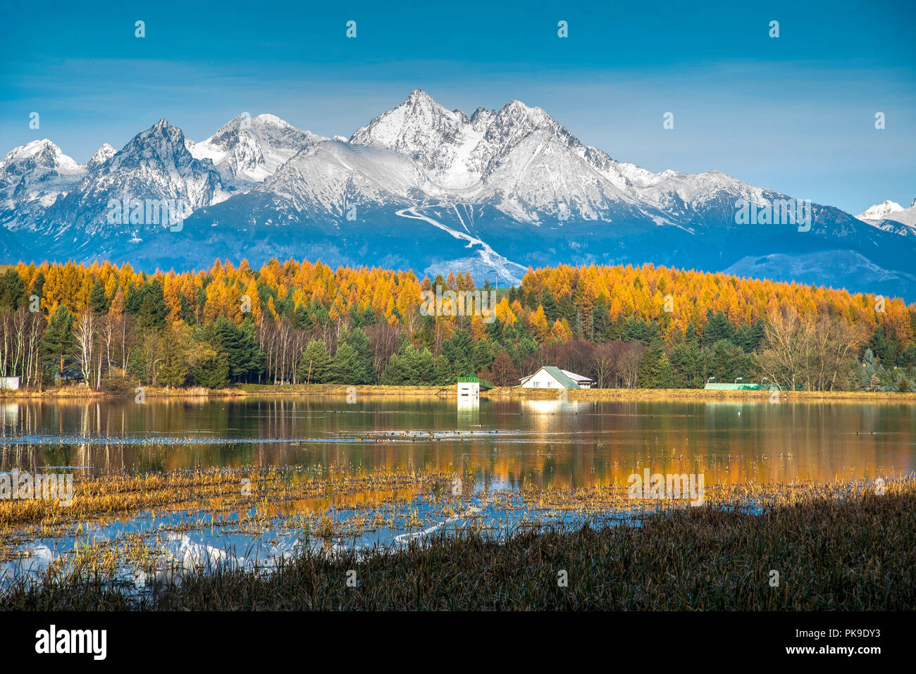 Autumn look at the High Tatras Stock Photo - Alamy