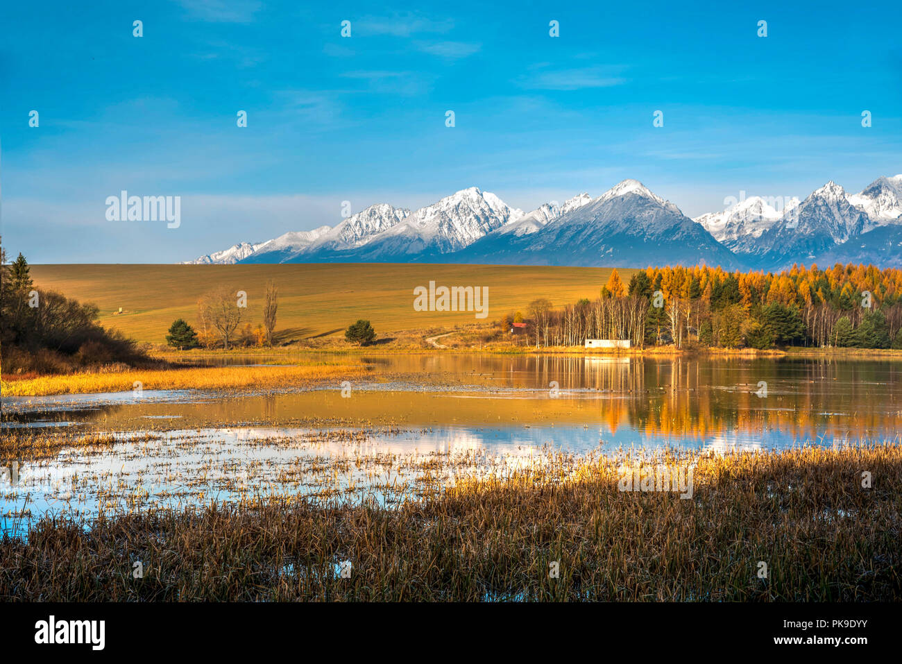 Autumn look at the High Tatras Stock Photo - Alamy