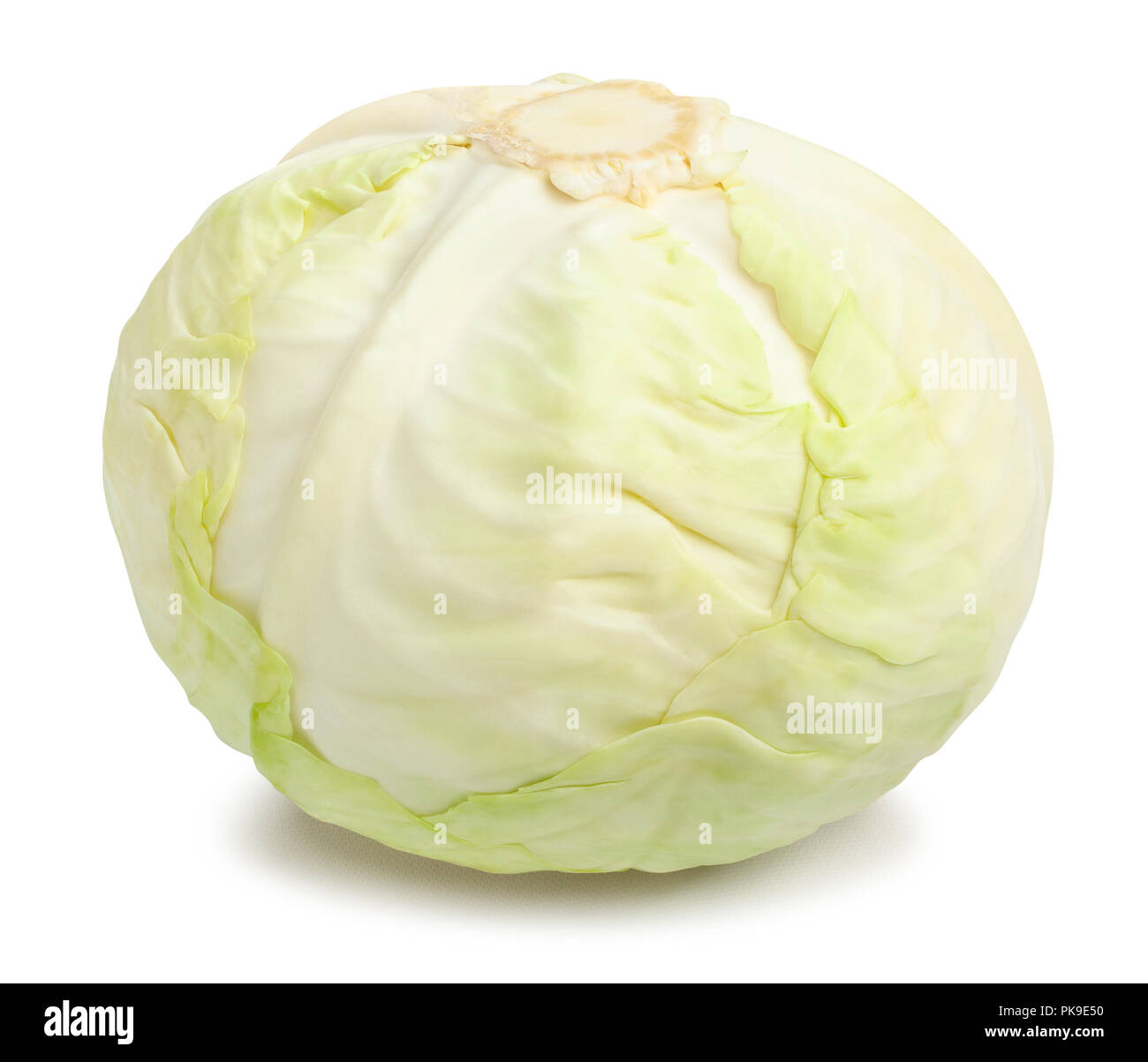 white cabbage path isolated Stock Photo - Alamy