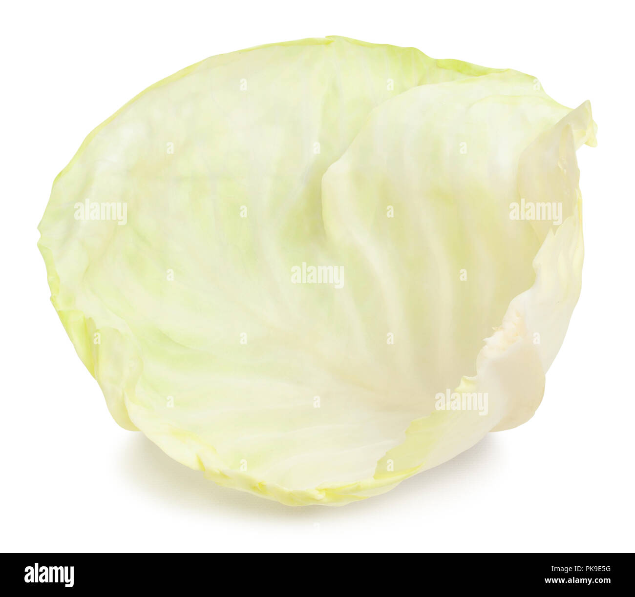 white cabbage leaf path isolated Stock Photo - Alamy