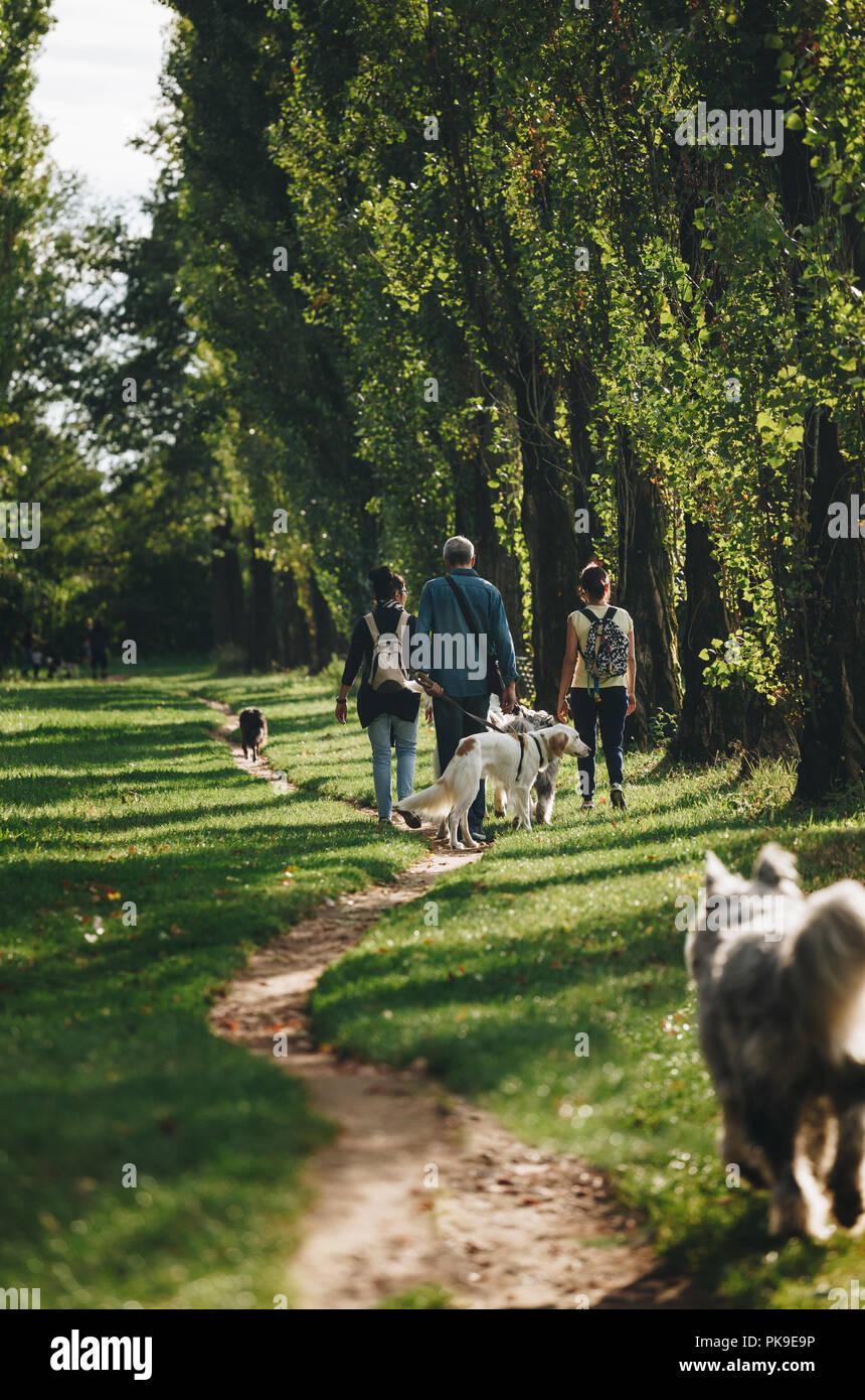 Man and wife walking dogs hi-res stock photography and images - Alamy