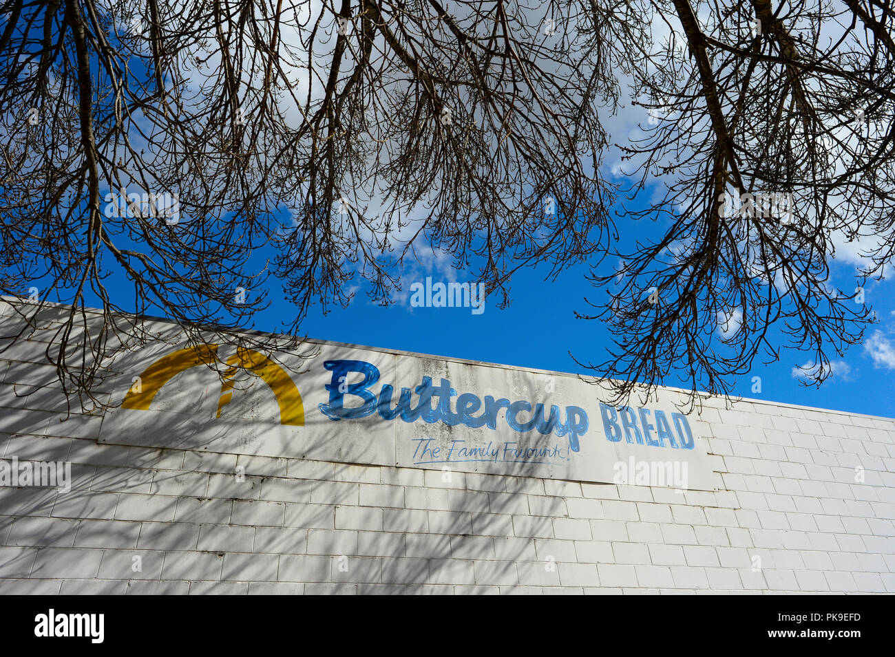 Buttercup breabuttercup hi-res stock photography and images - Alamy