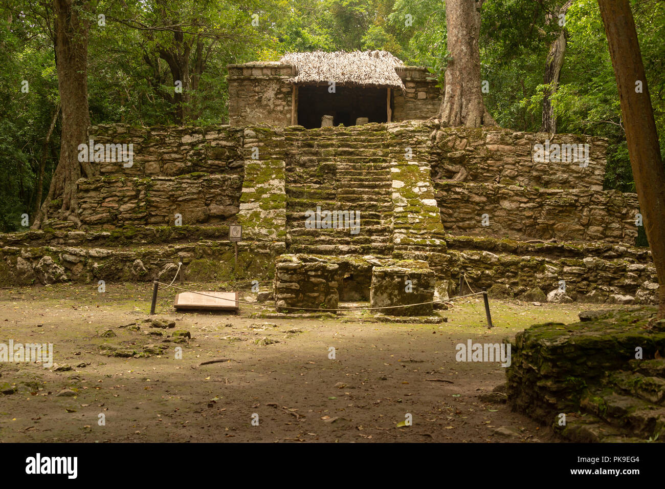 Chunyaxche muyil maya ruins hi-res stock photography and images - Alamy