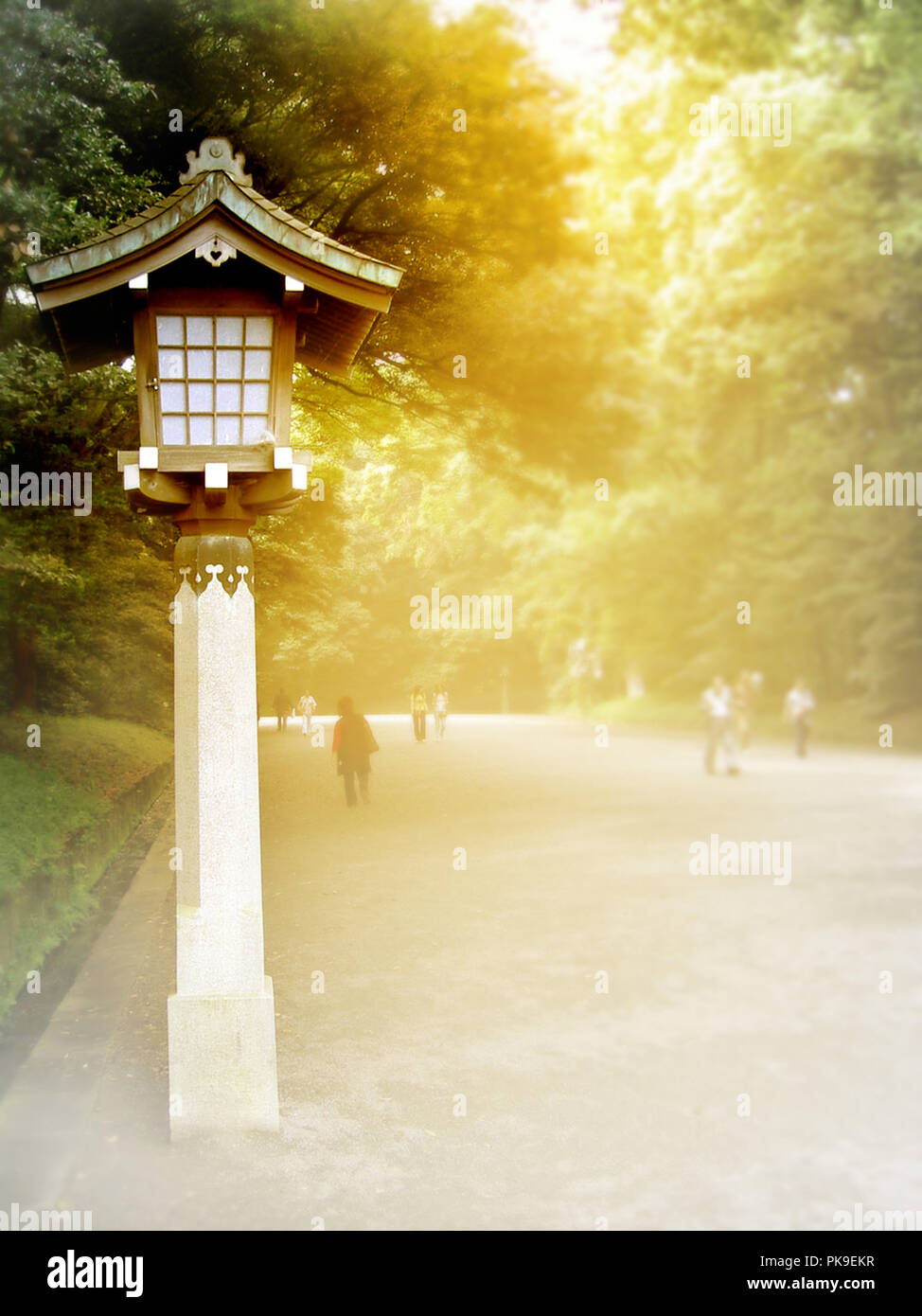 Traditional lamps along the both sidewalk with big trees on either side ...