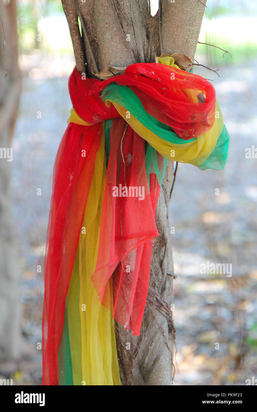 Buddhist culture : Seven (color of week ) sacred cloth tied around a ...