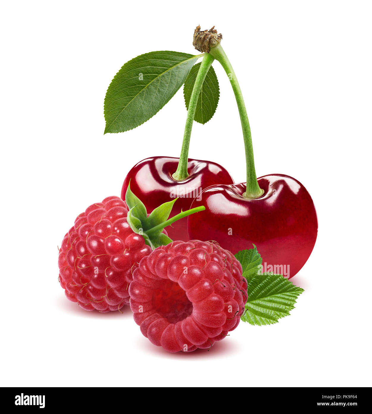 Green tea pack design hi-res stock photography and images - Alamy