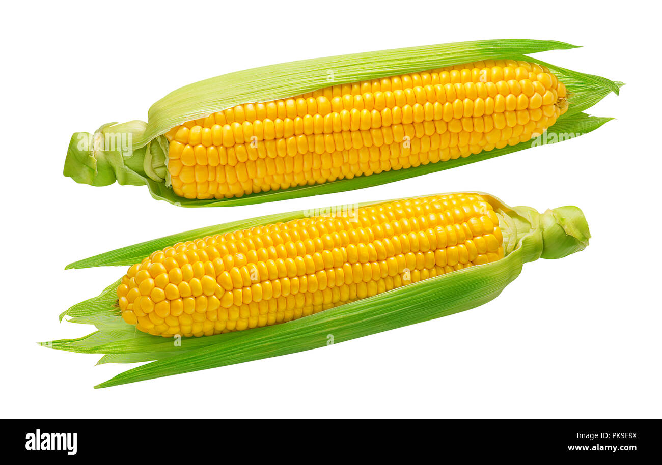 Corn design hi-res stock photography and images - Alamy
