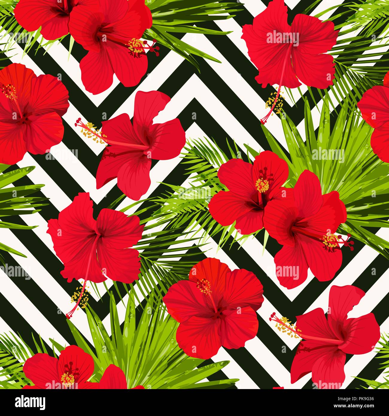 Hibiscus Vector Stock Photos & Hibiscus Vector Stock Images - Alamy