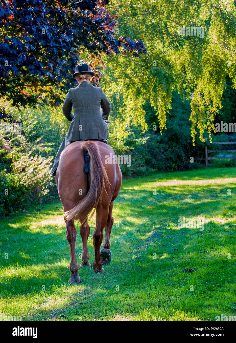 An elegent young lady riding in a traditional side saddle wearing ...