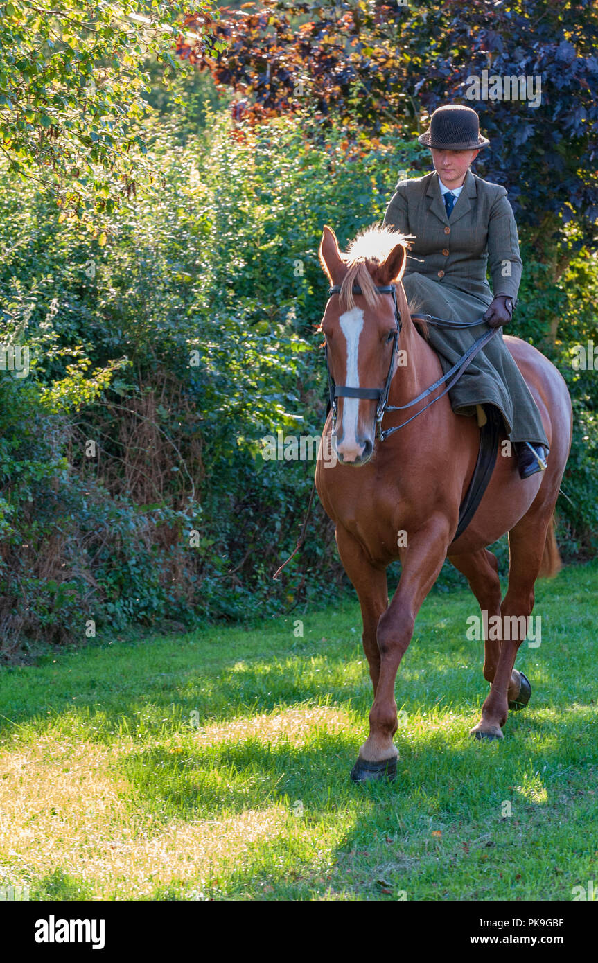 Vintage Side Saddle Stock Photos & Vintage Side Saddle Stock Images - Alamy