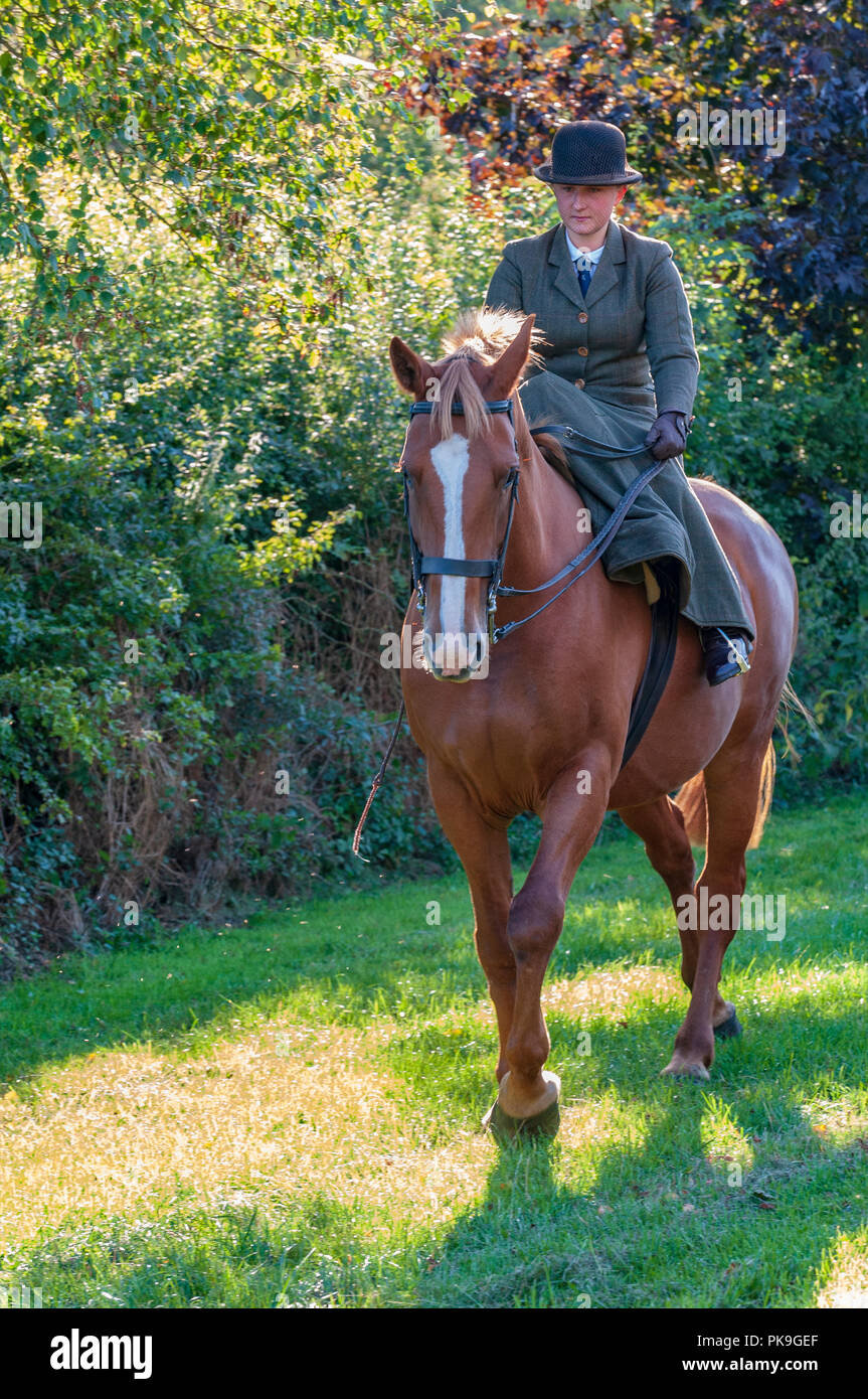 Side saddle rider hi-res stock photography and images - Alamy
