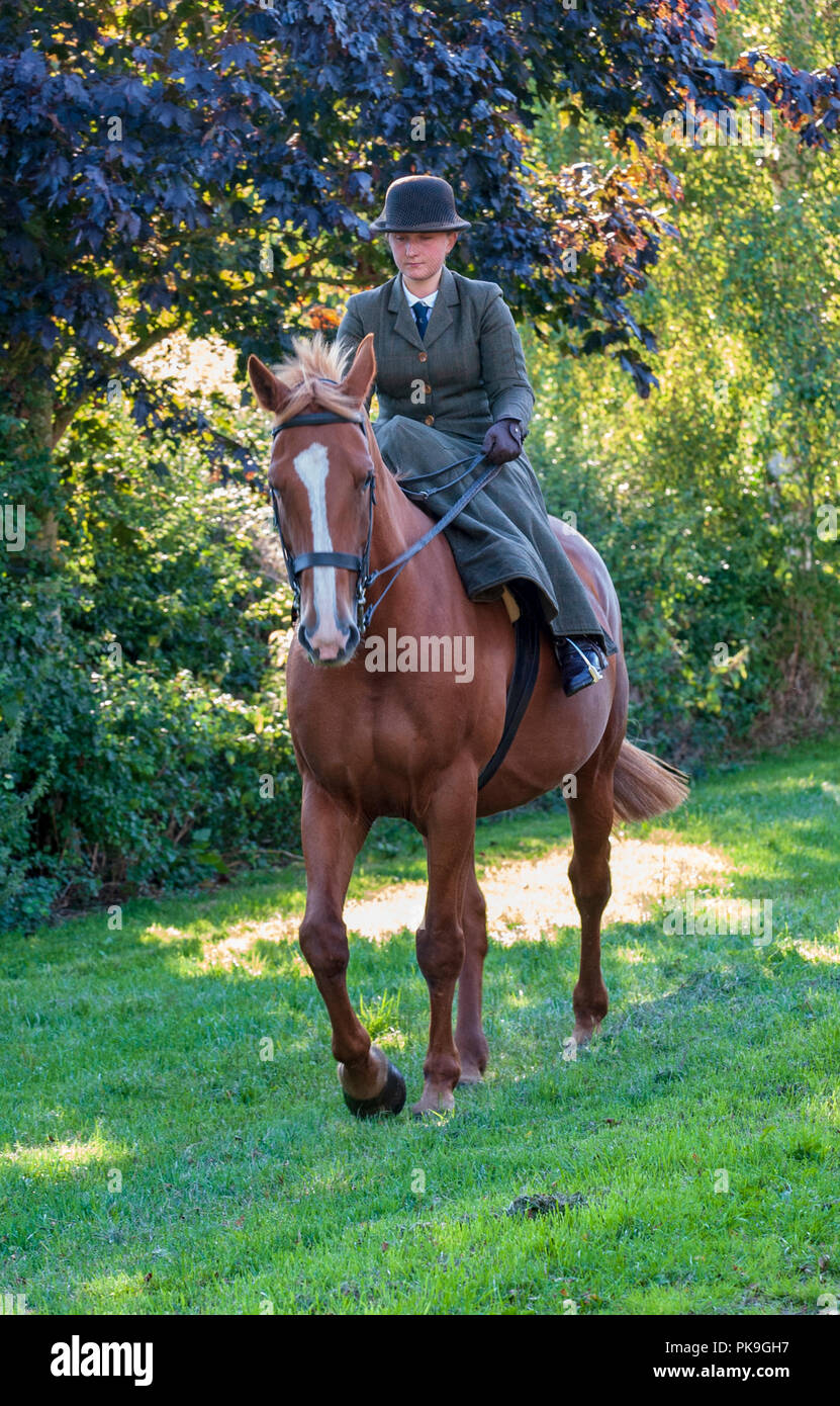 An elegent young lady riding in a traditional side saddle wearing ...