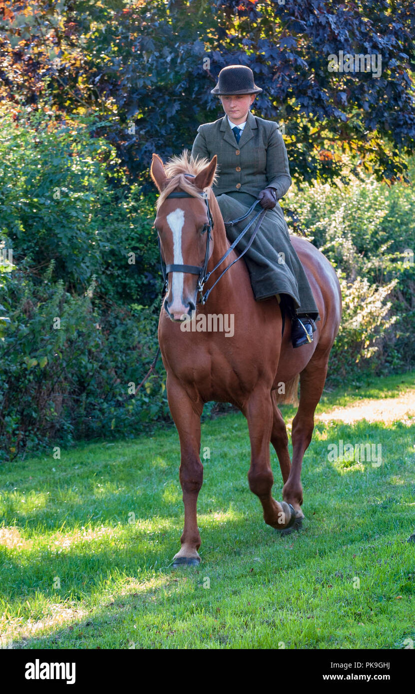 Vintage Side Saddle Stock Photos & Vintage Side Saddle Stock Images - Alamy