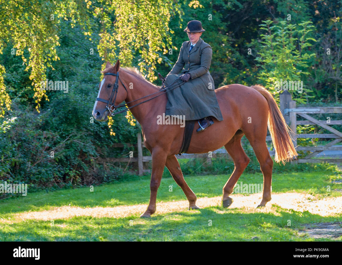 An elegent young lady riding in a traditional side saddle wearing ...