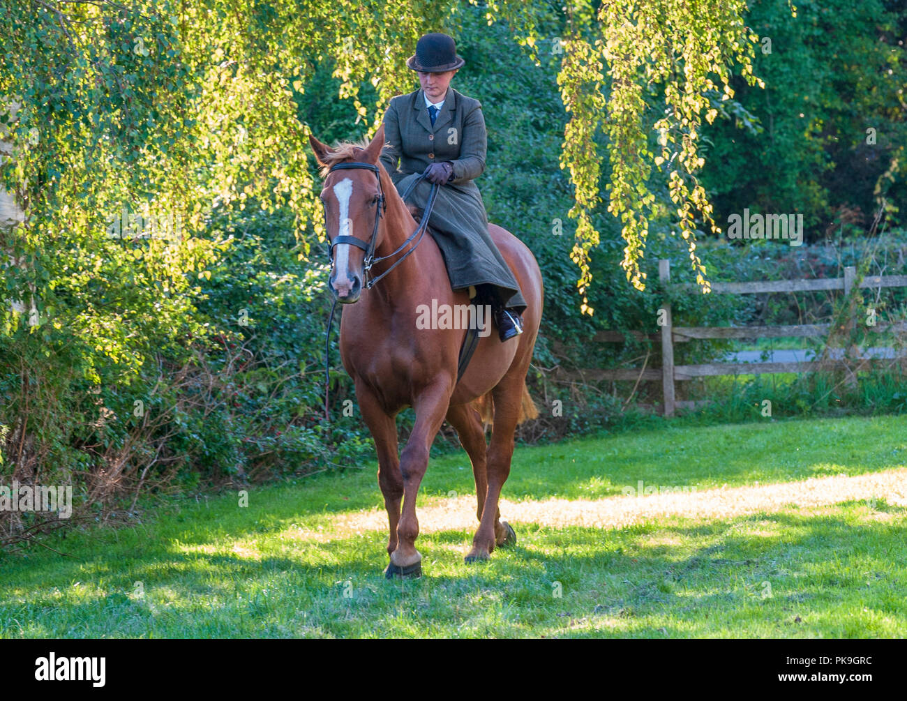 An elegent young lady riding in a traditional side saddle wearing ...