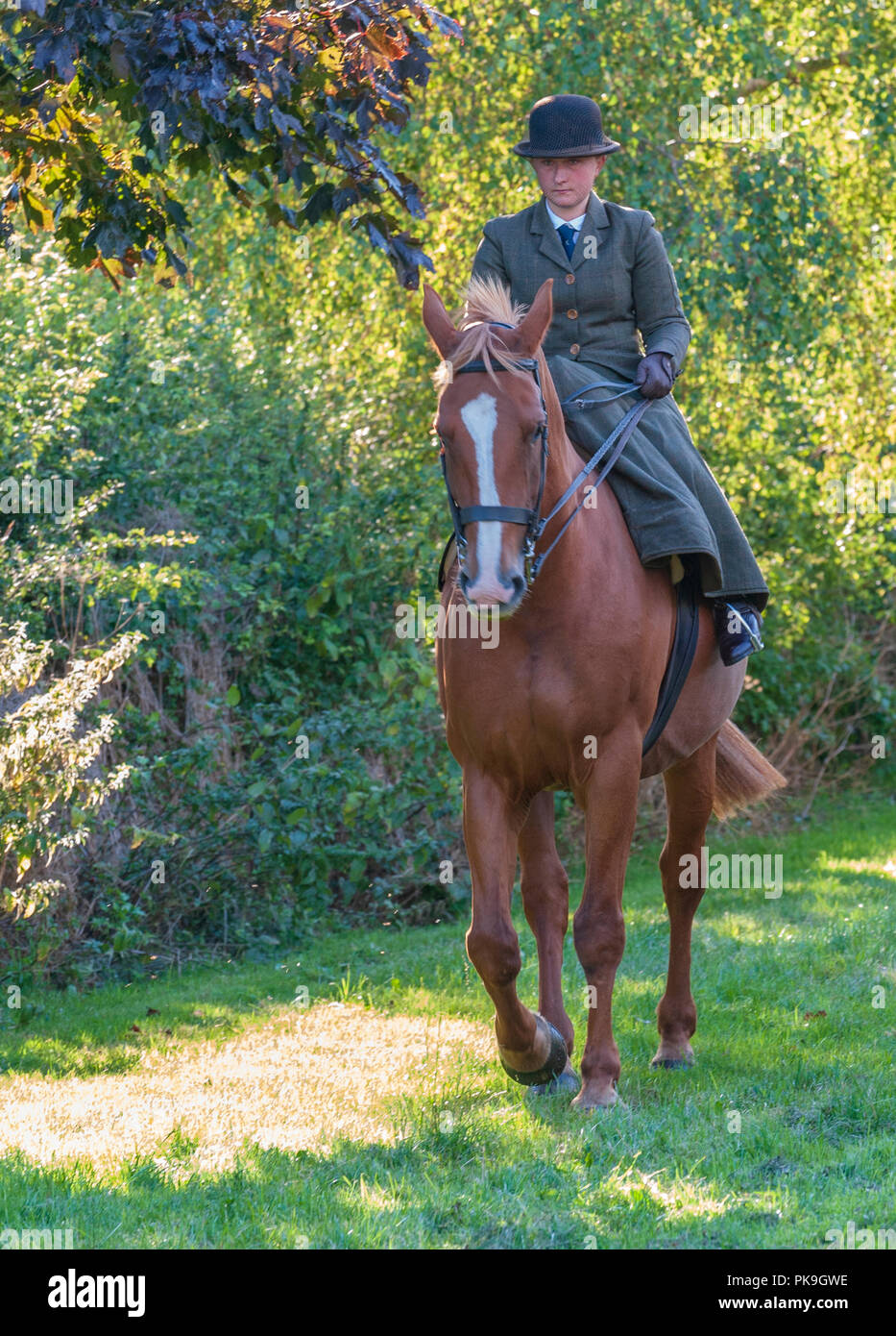 An elegent young lady riding in a traditional side saddle wearing ...
