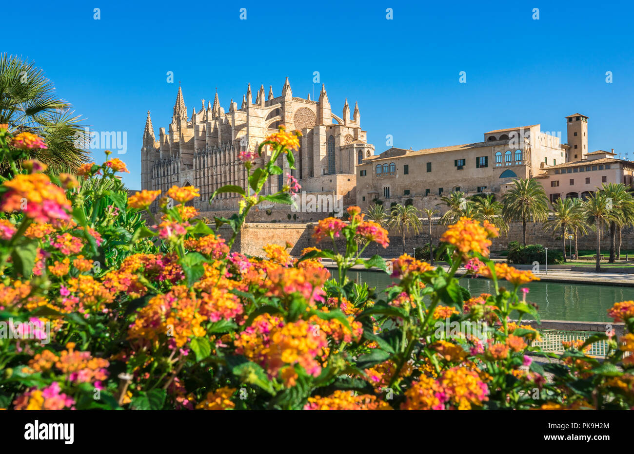 Beautiful view of Cathedral La Seu at the old historic city center of ...