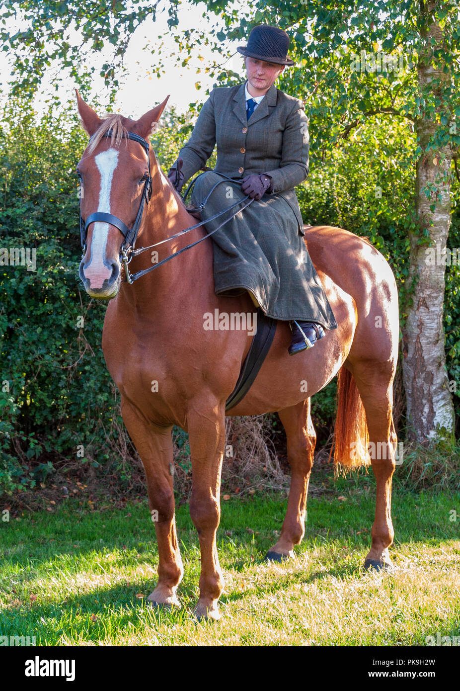 Side saddle habit hi-res stock photography and images - Alamy