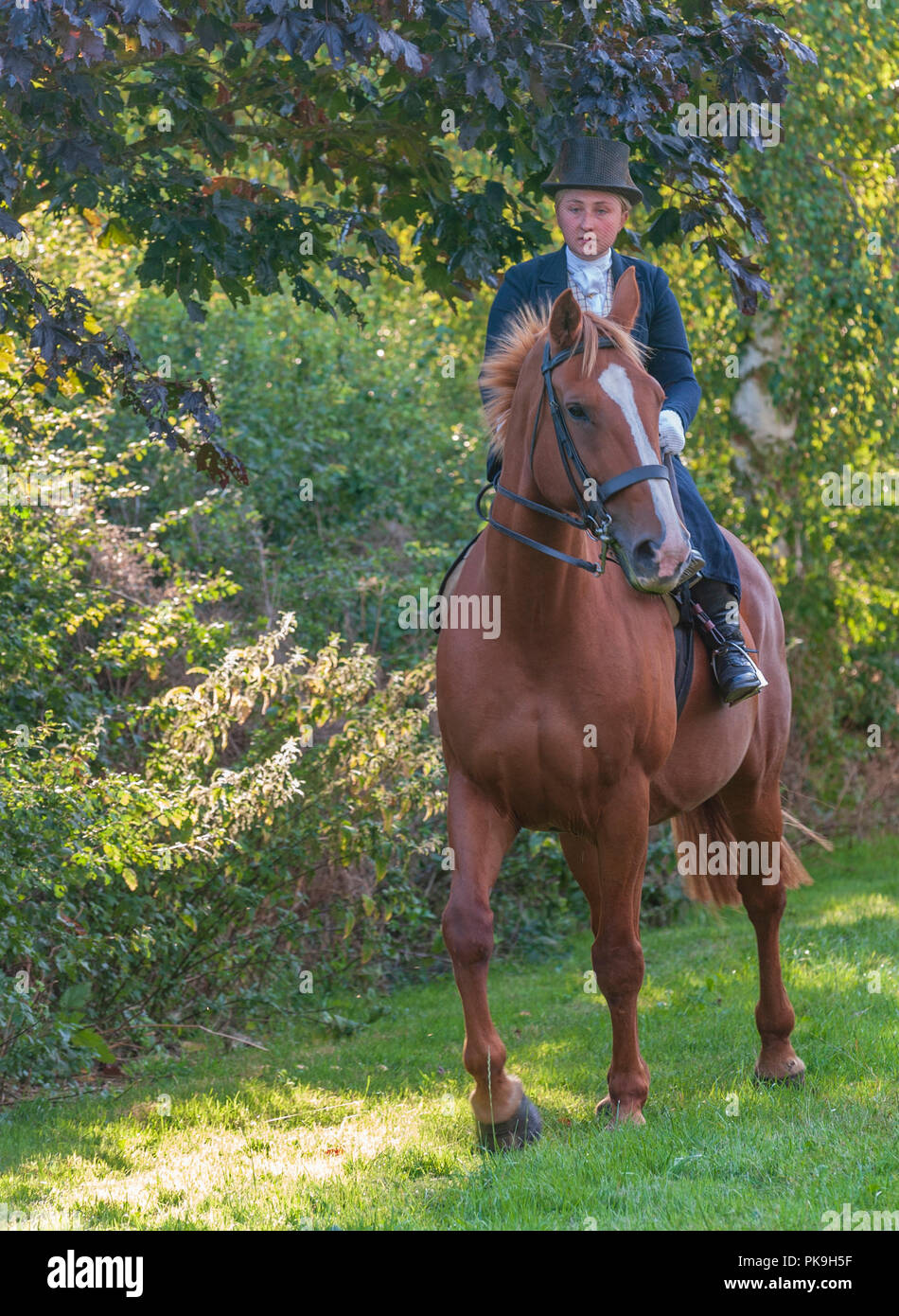 An elegent young lady riding in a traditional side saddle wearing top ...